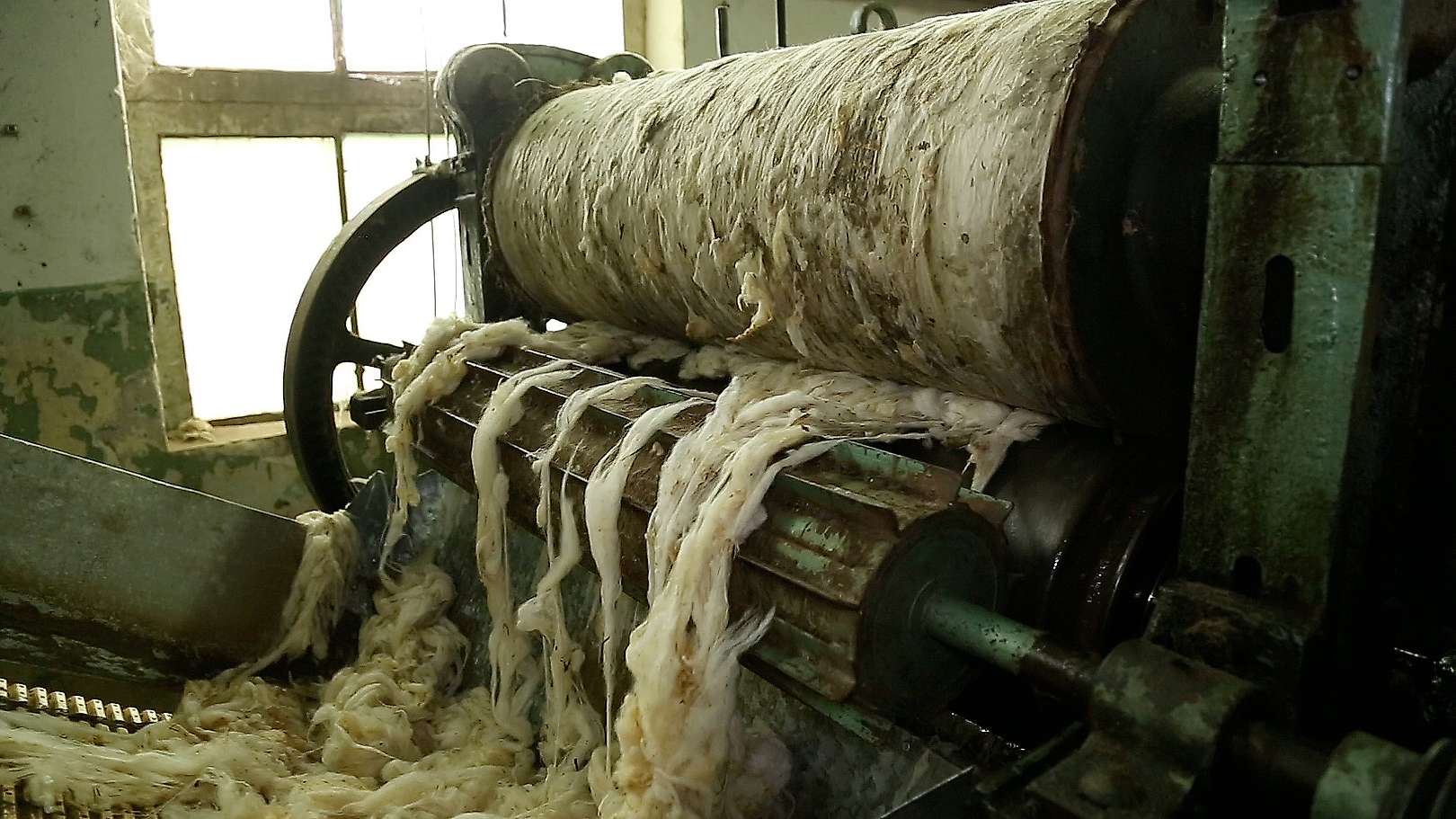 Le lavage de la laine en suint en Serbie - Biodom.bio