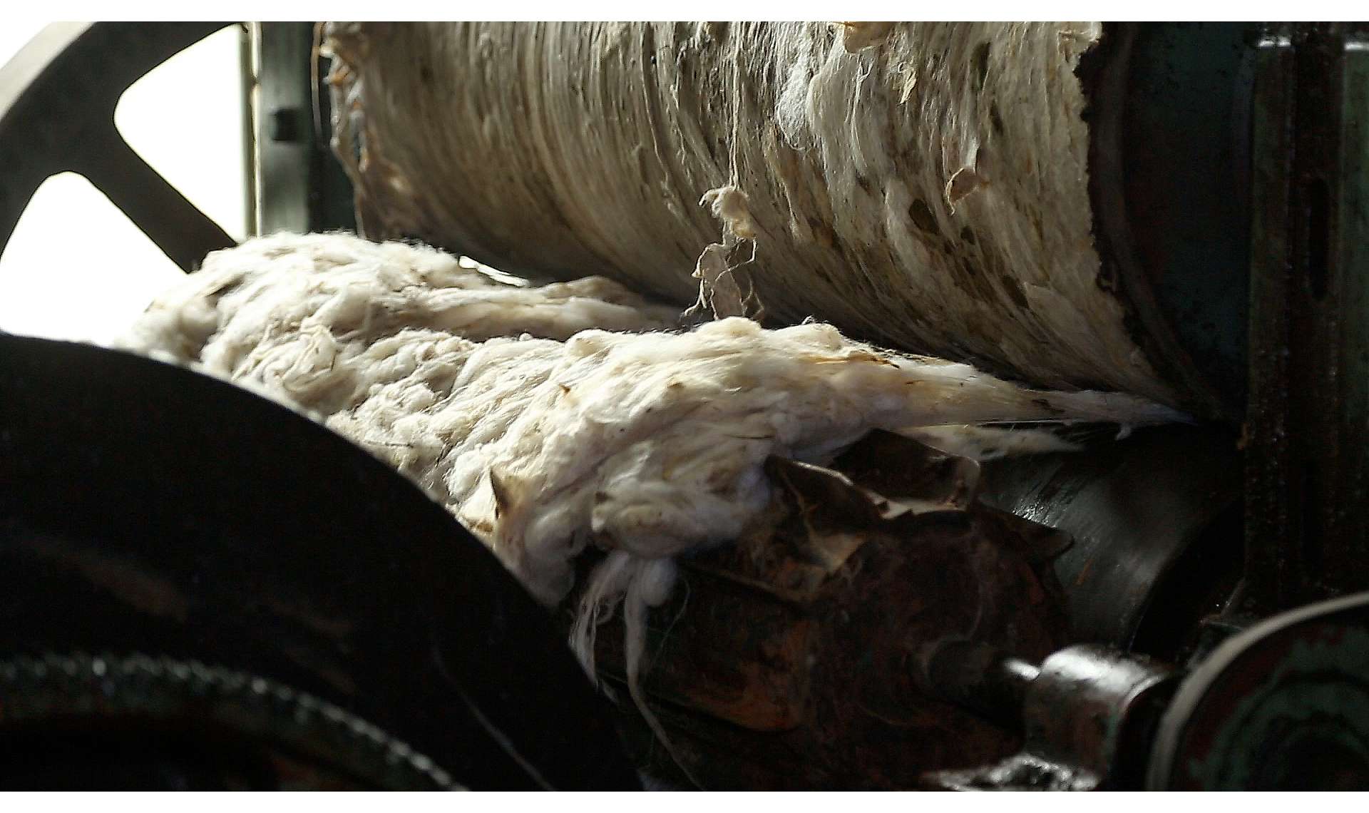 Le lavage de la laine en suint en Serbie - Biodom.bio