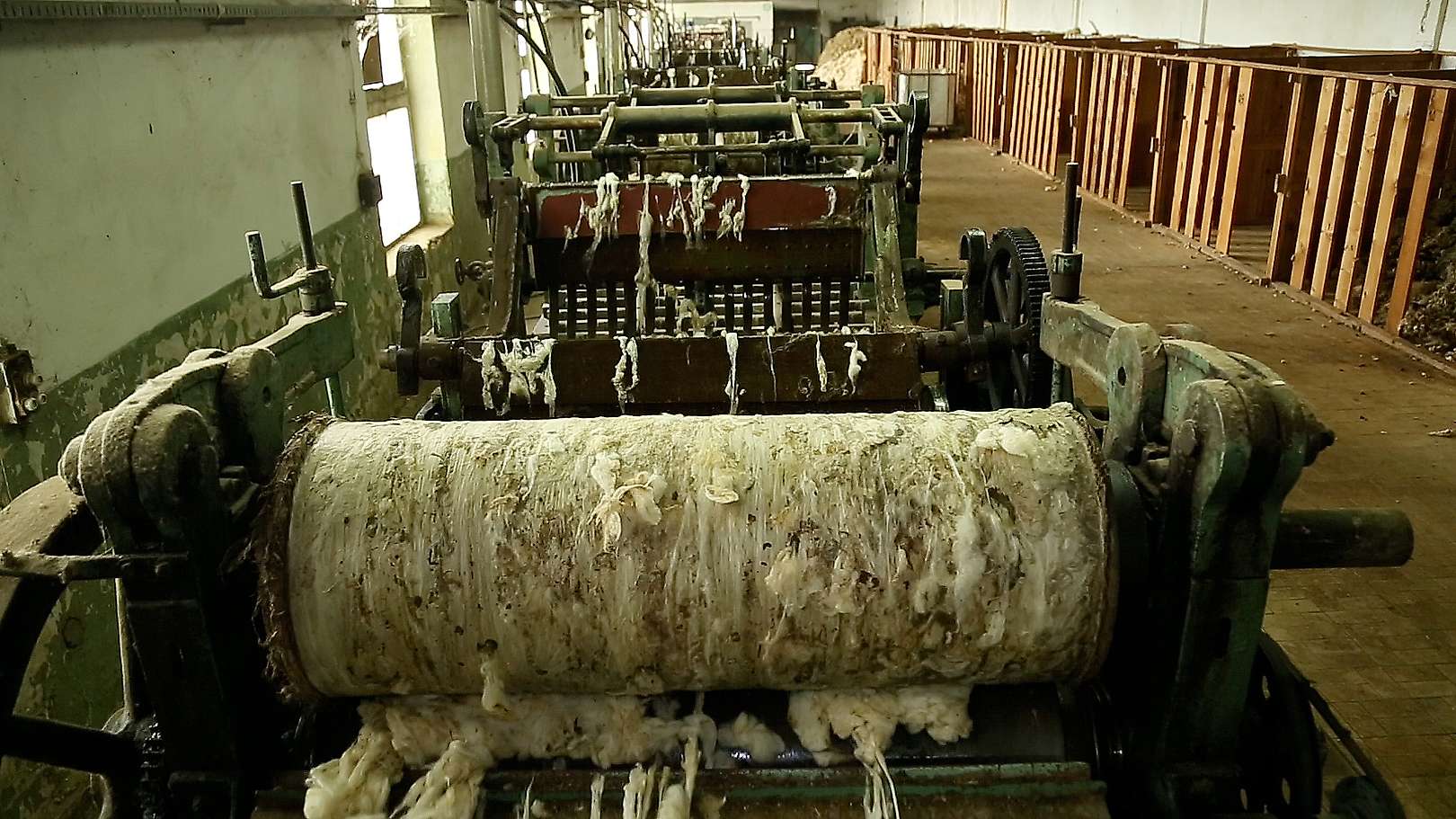 The scouring of wool in Serbia for Revolana products - Biodom (en)