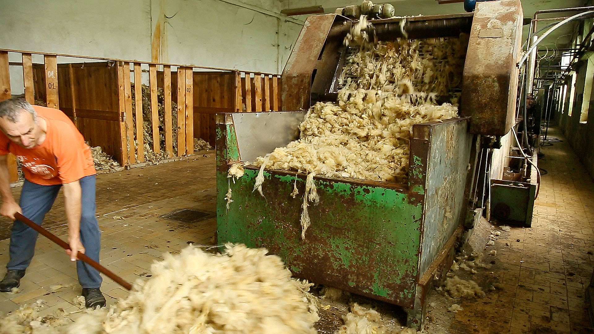 The scouring of wool in Serbia for Revolana products - Biodom.bio (en)