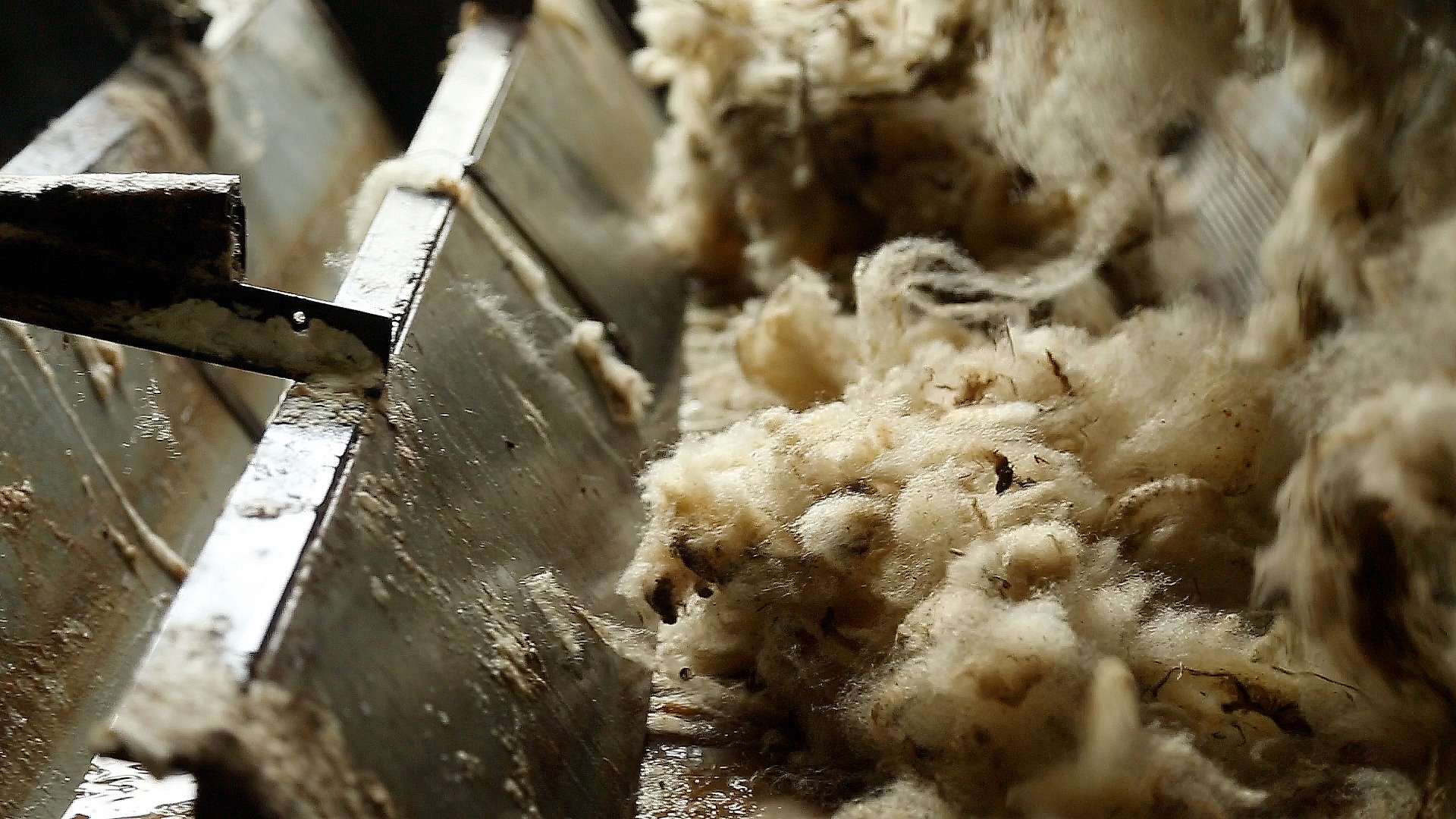 The scouring of wool in Serbia for Revolana products - Biodom (en)