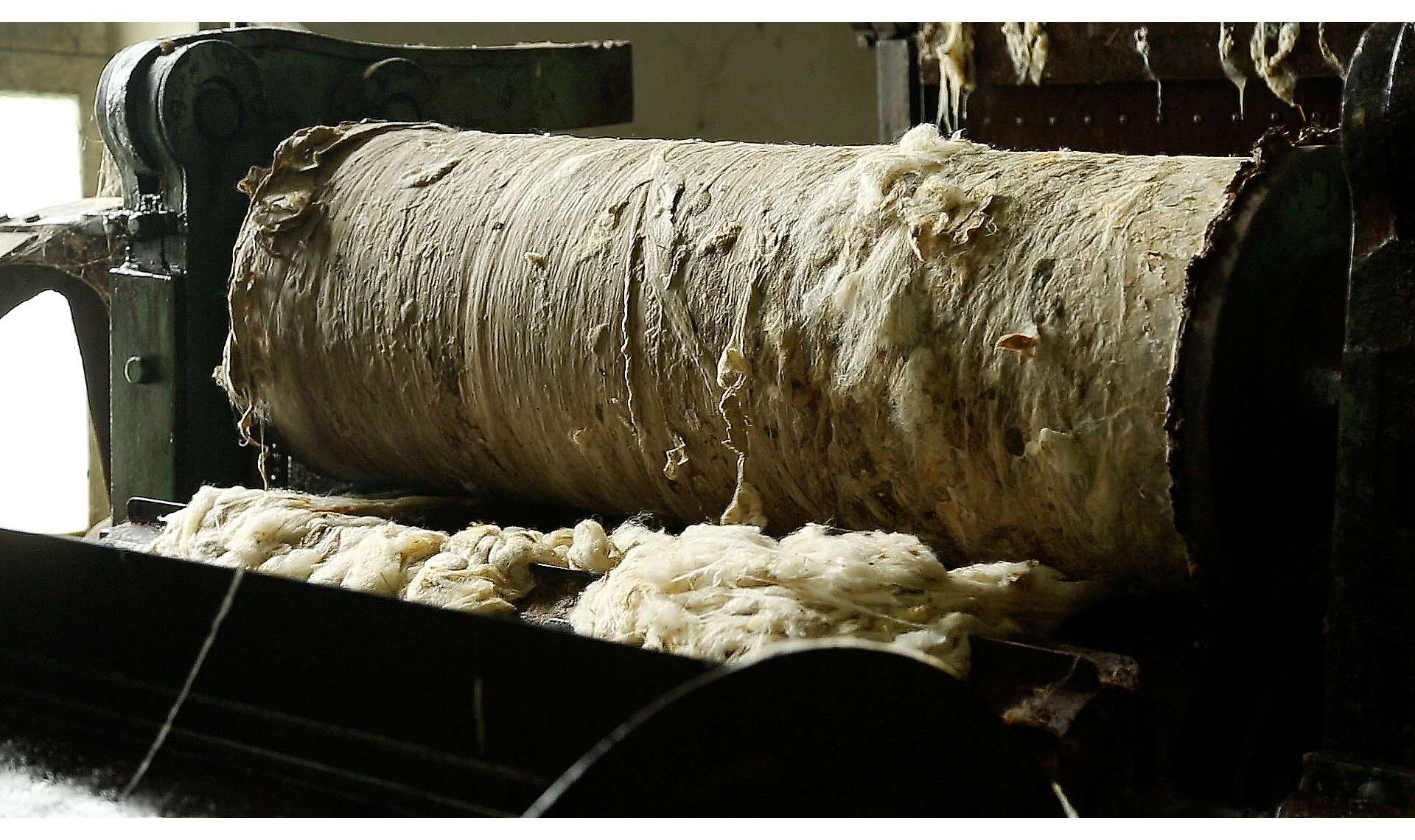 Le lavage de la laine en suint en Serbie - Biodom.bio