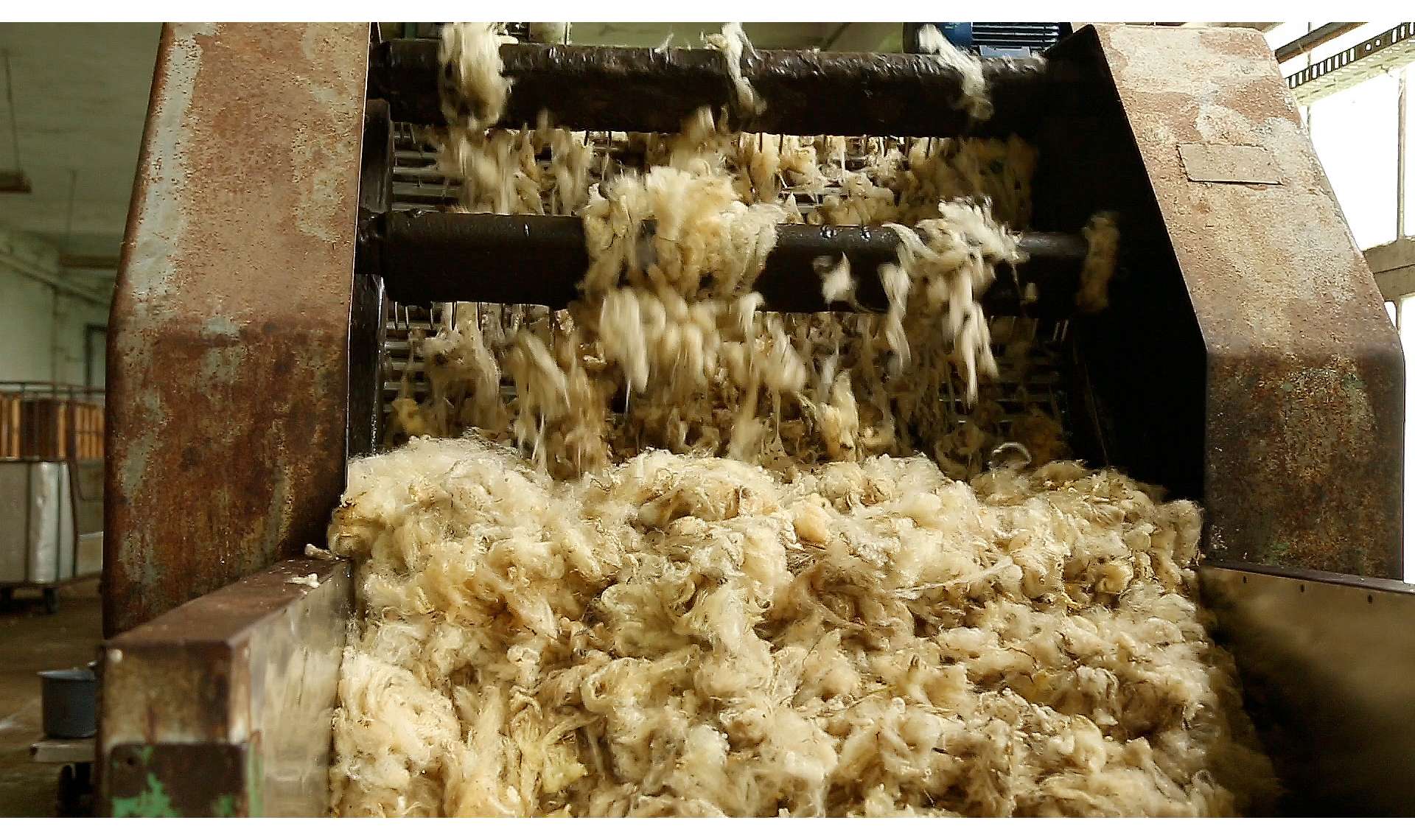 Le lavage de la laine en suint en Serbie - Biodom.bio