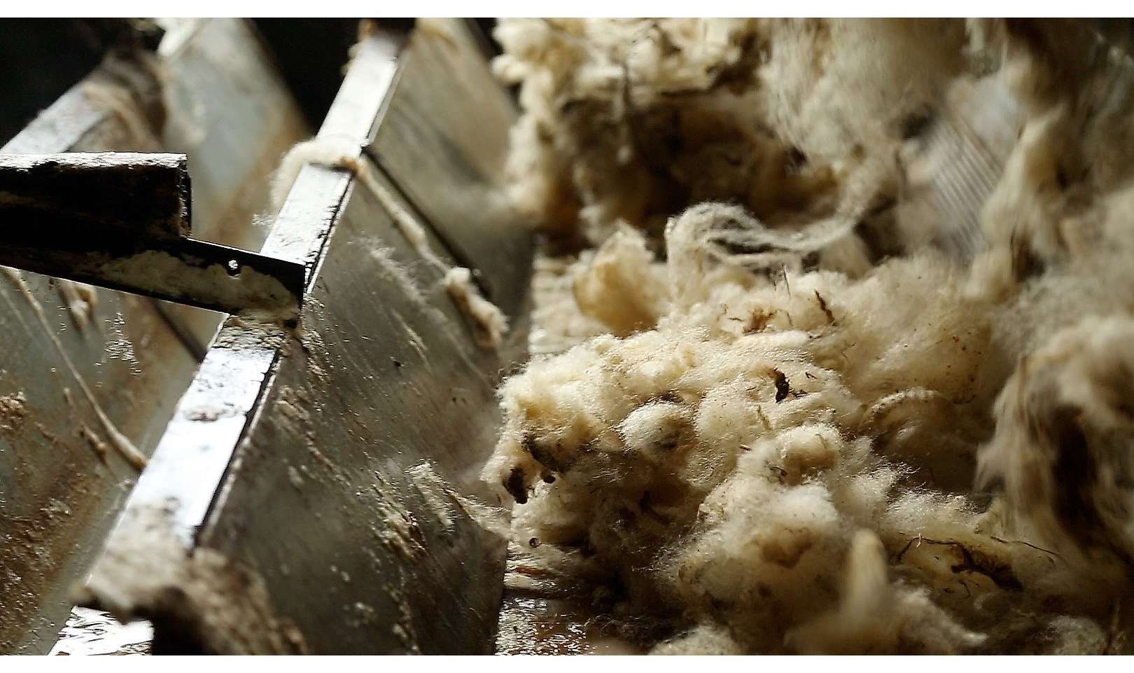 The scouring of wool in Serbia for Revolana products - Biodom (en)