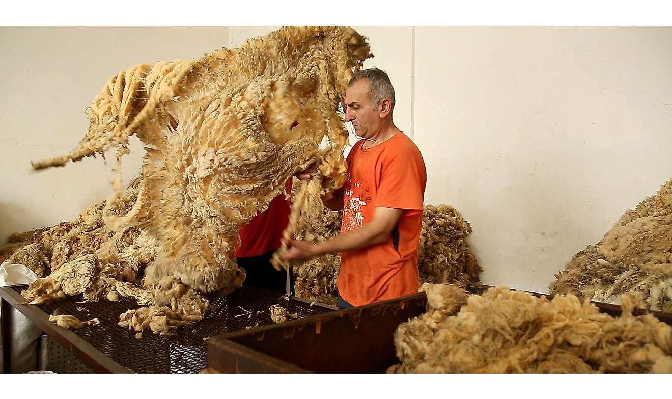 The scouring of wool in Serbia for Revolana products - Biodom (en)