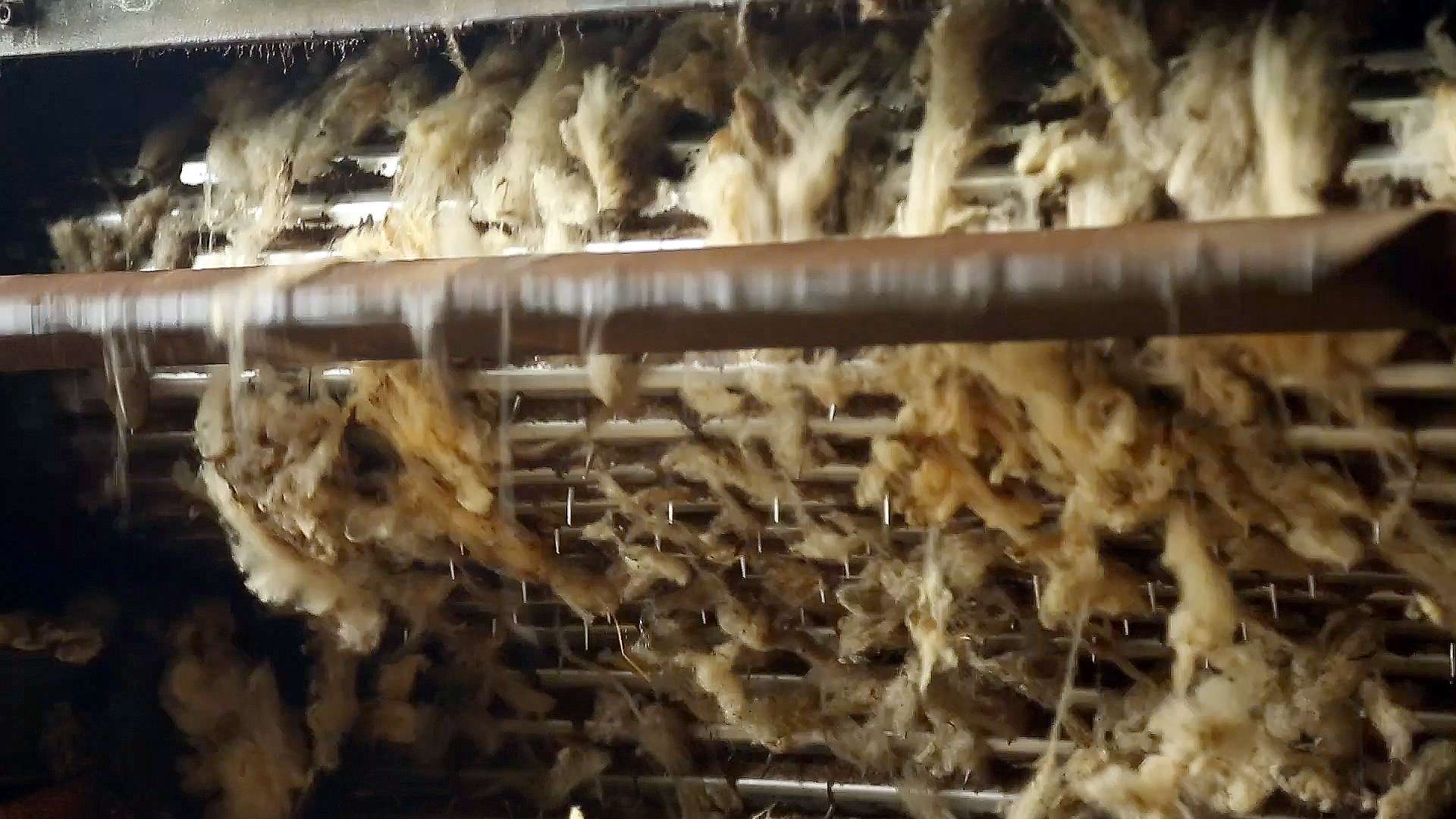 The scouring of wool in Serbia for Revolana products - Biodom (en)