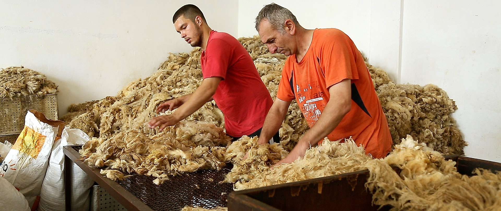 The scouring of wool in Serbia for Revolana products - Biodom (en)