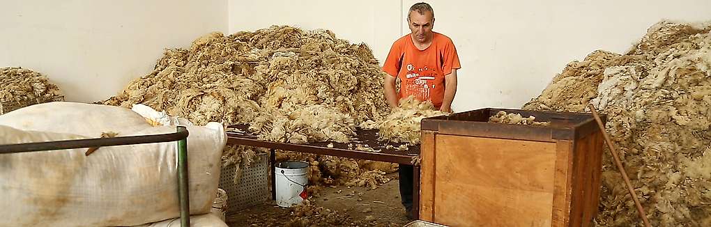The scouring of wool in Serbia for Revolana products - Biodom (en)