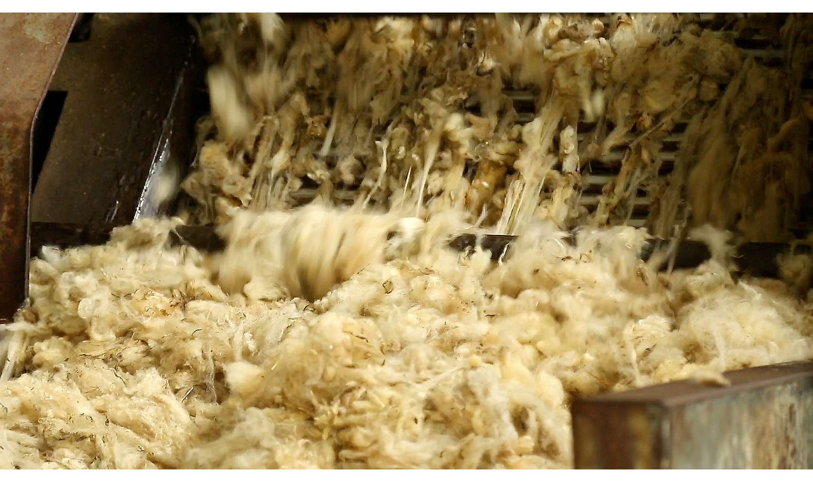 Pranje sirove vune u Srbiji za brend Revolana - Biodom