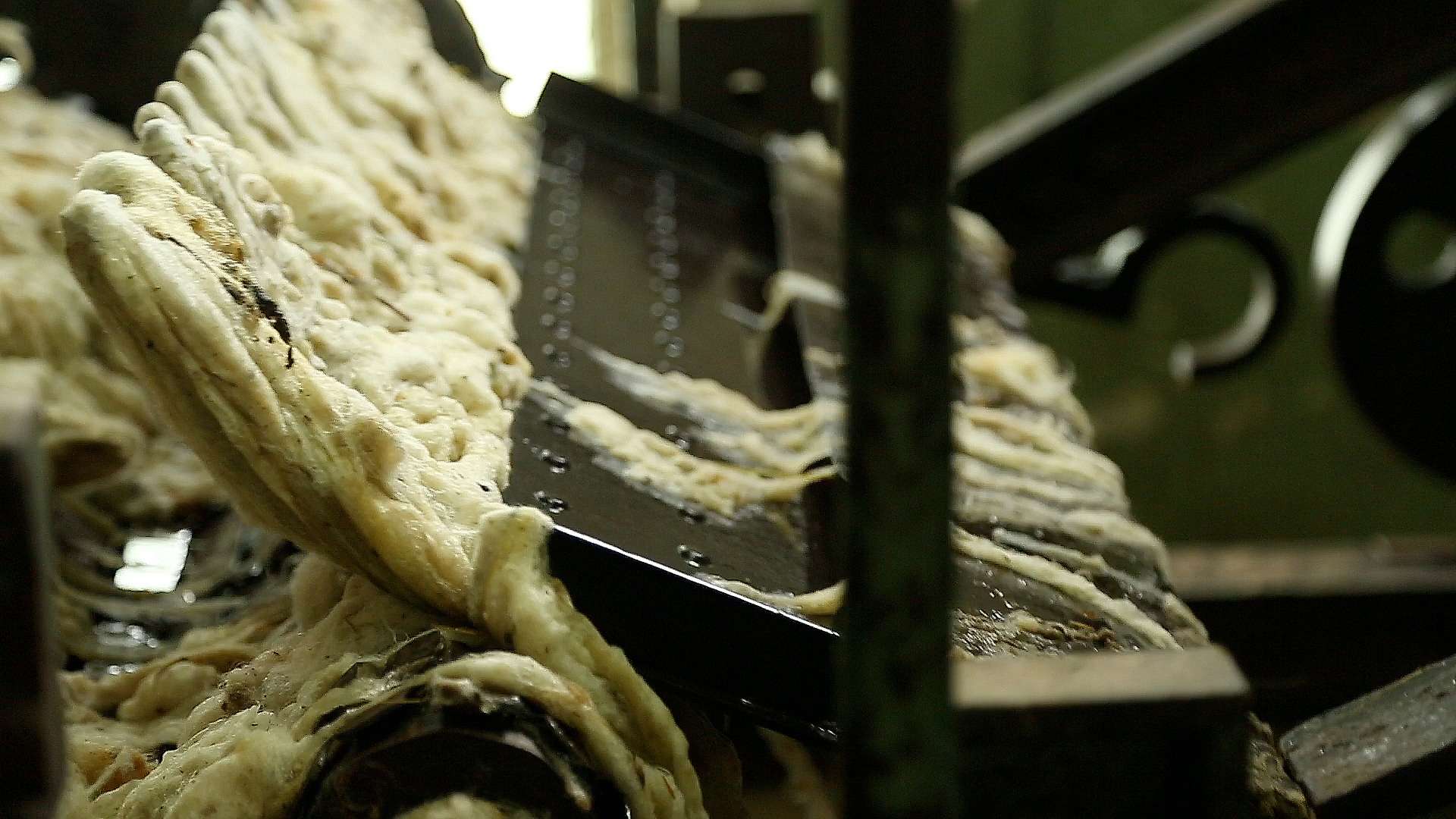 The scouring of wool in Serbia for Revolana products - Biodom (en)