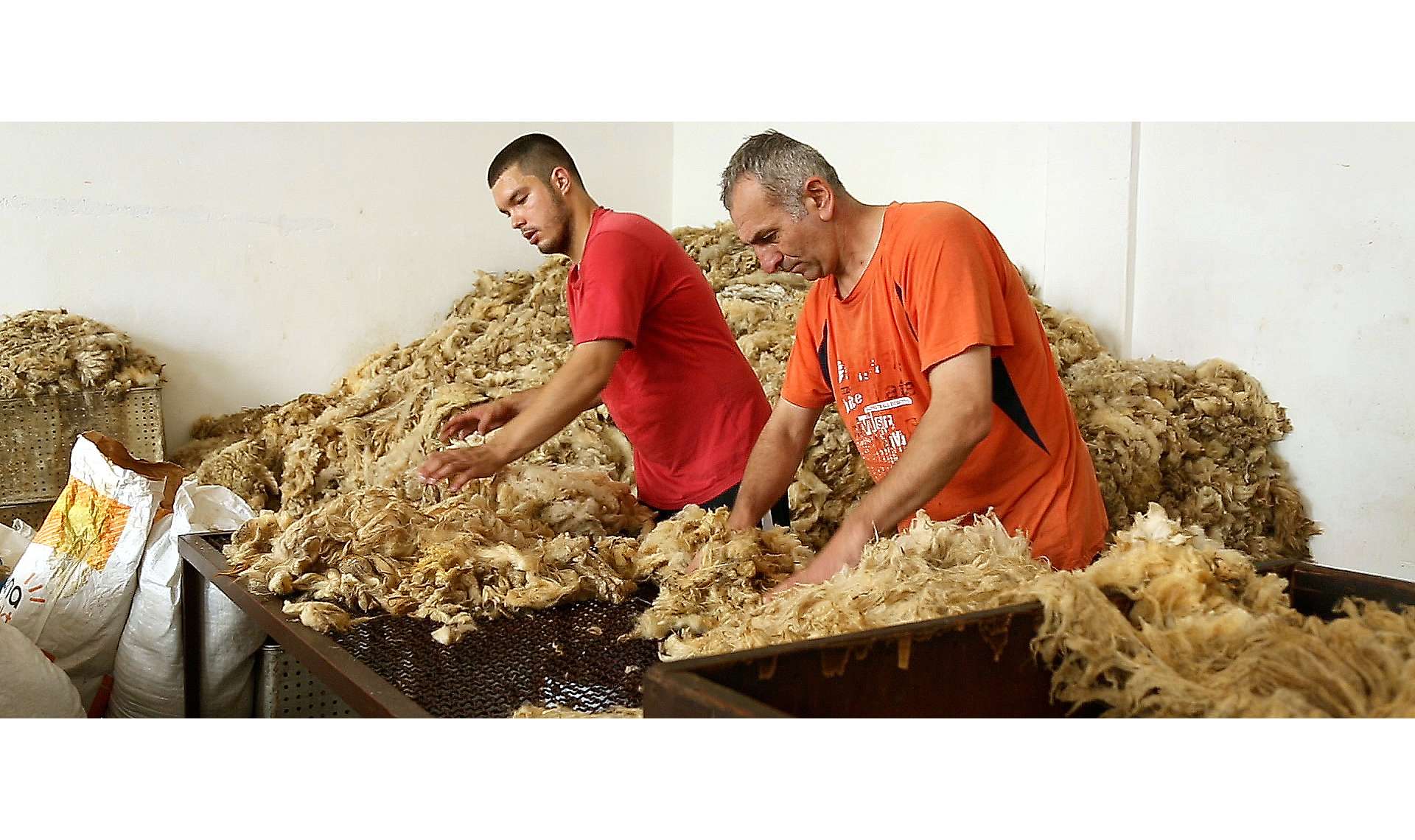 The scouring of wool in Serbia for Revolana products - Biodom (en)