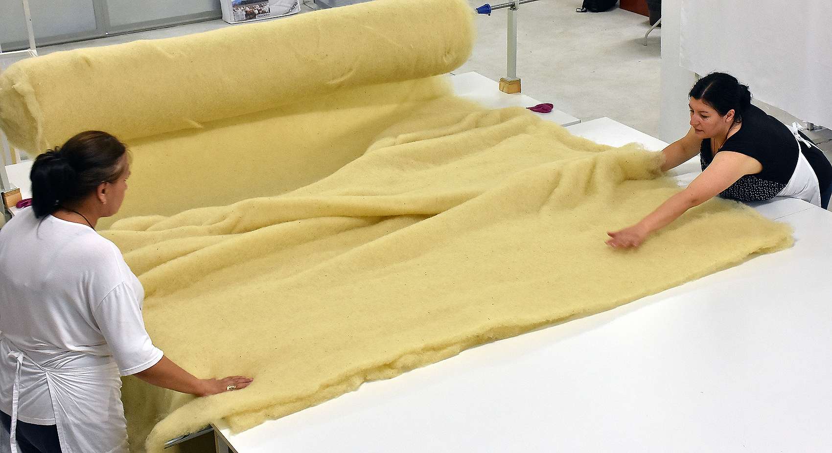The steps of making a pure new wool duvet - Biodom (en)